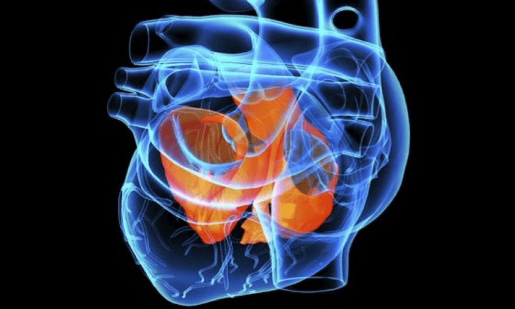 Ecocardiogramma e Ecocardiocolordoppler a Padova, provincia ...